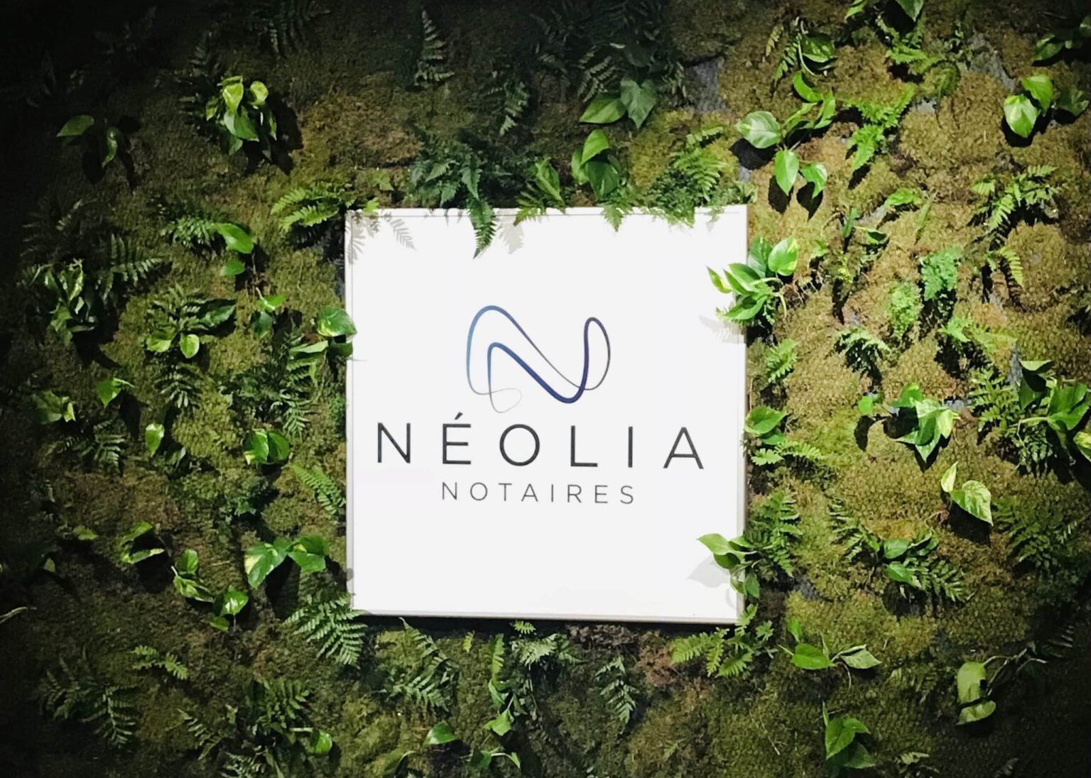 NEOLIA Notaires - Notre office notarial